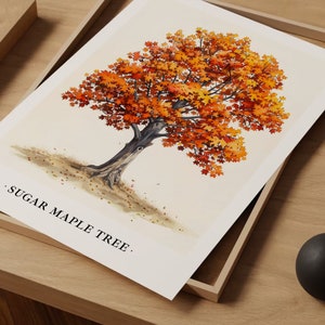 Sugar Maple Tree Art Print, Wall Art Poster, Botanical Maple Tree Decor ...