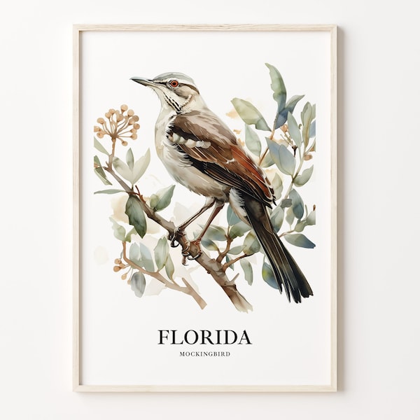 Florida Bird Art - Etsy