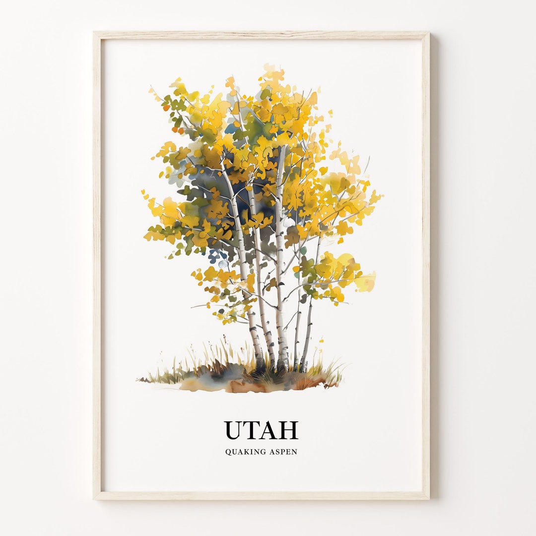 Quaking Aspen Tree Wall Art, Utah State Tree Art Print, State Symbol ...