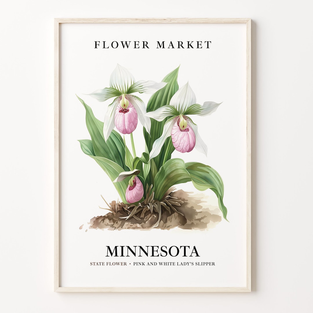Minnesota State Flower Art Print, Pink and White Lady's Slipper, 1960's ...