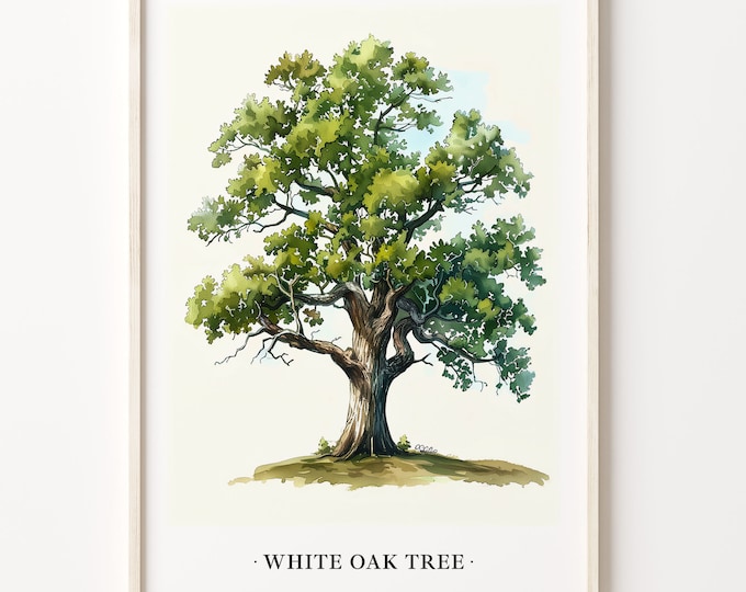 White Oak Tree Art Print, White Oak Tree Wall Art Poster - Etsy