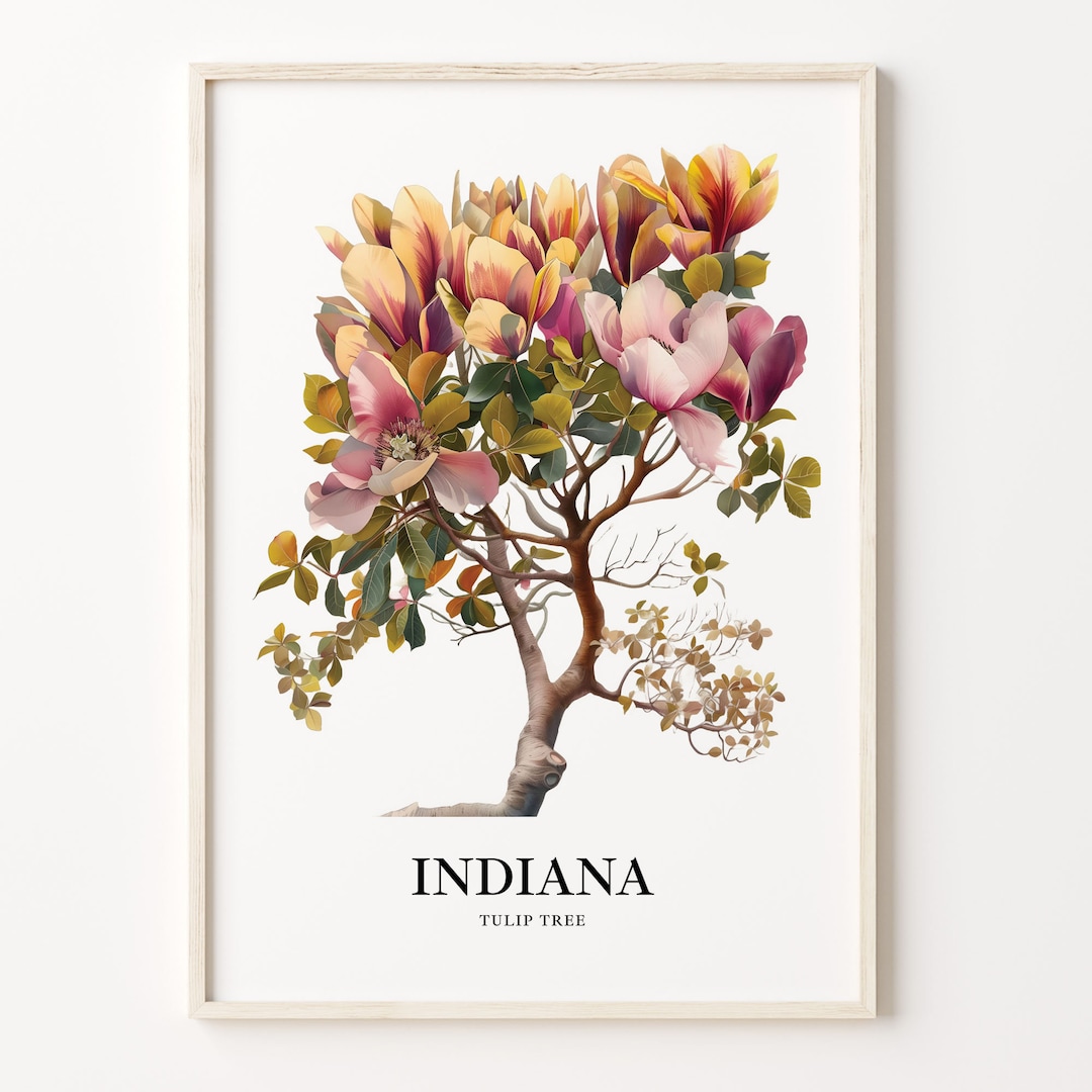 Indiana State Tree Art Print, Tulip Tree Wall Art, State Symbol Decor ...