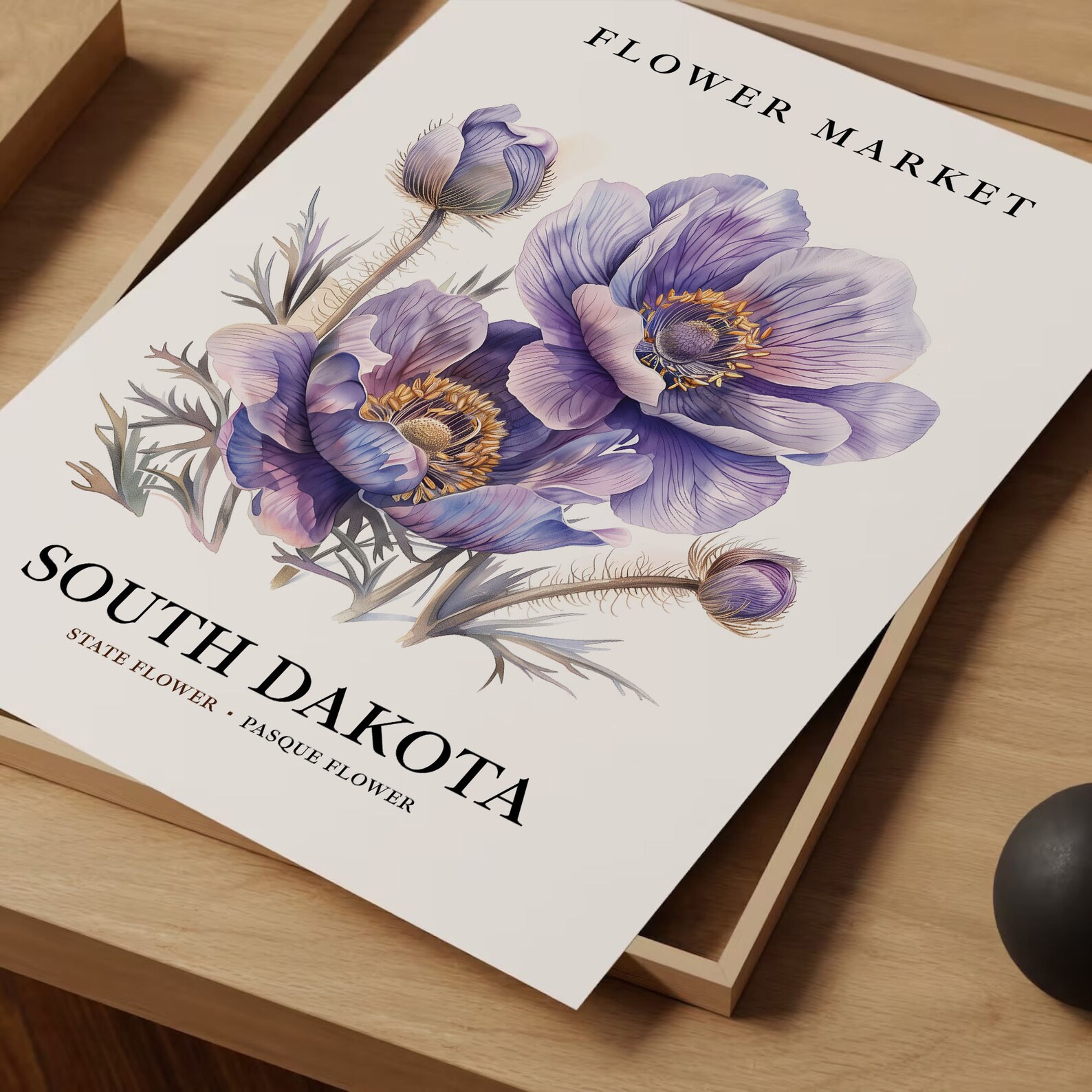 Pasque Flower Art Print: South Dakota State Flower, Botanical Pastel - Etsy