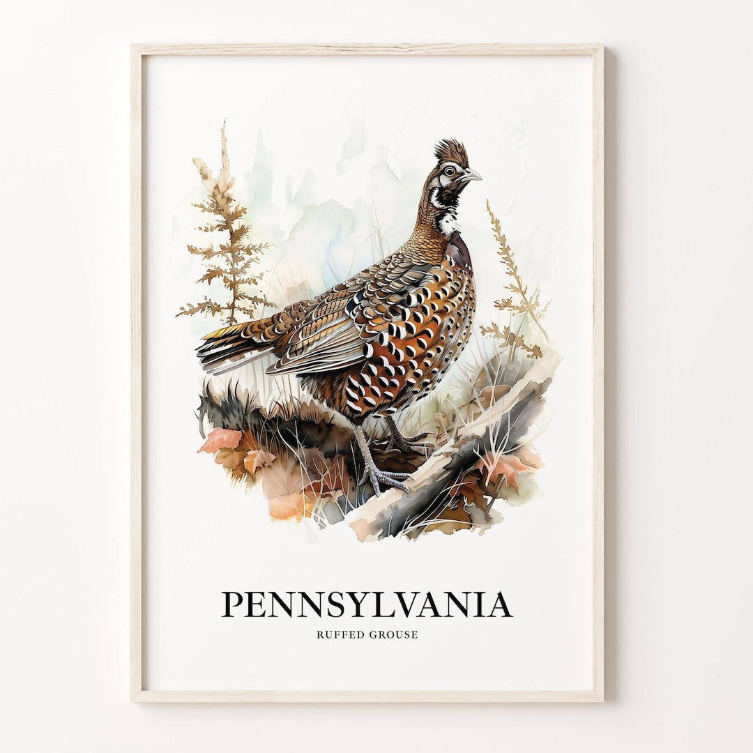Pennsylvania State Bird Art Print, State Flower Wall Art, Pennsylvania ...