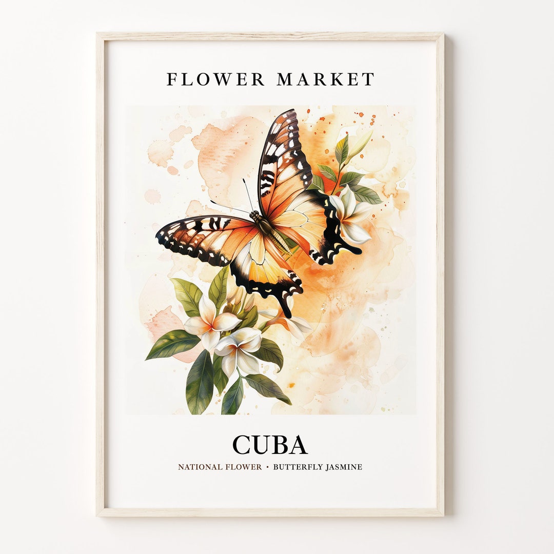 Cuba Flower Market Art Print, Butterfly Jasmine Wall Art, Botanical ...