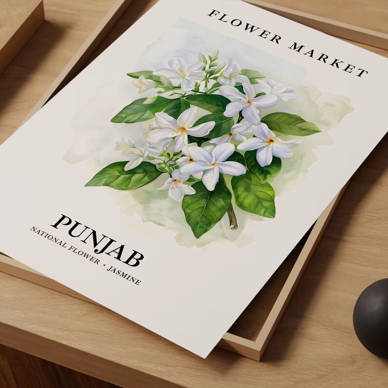 Jasmine Flower Market Art Print: Punjab Botanical Home Decor - Etsy México