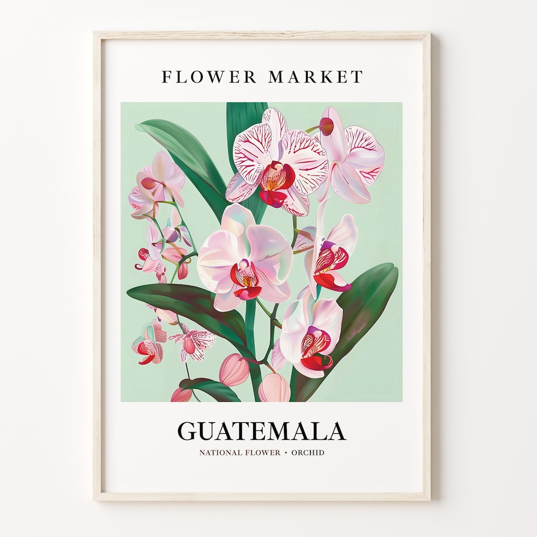 Guatemala Flower Market Art Print, Orchid Wall Art, Botanical Pastel ...