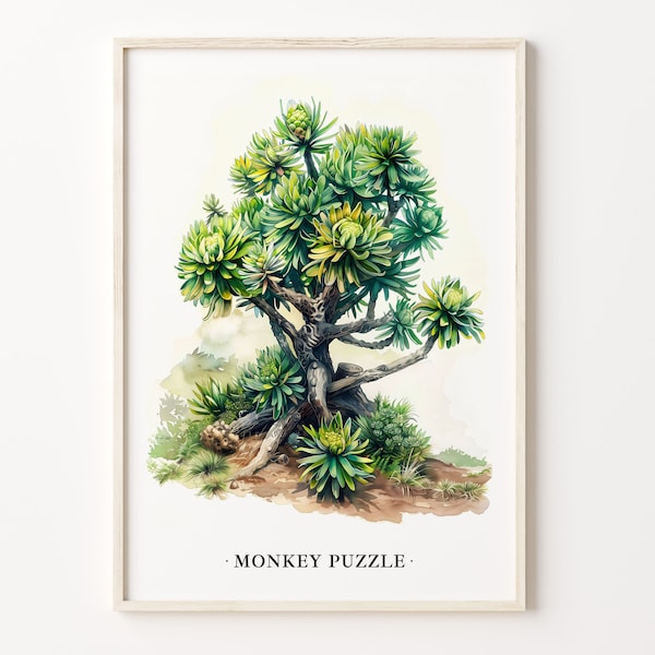 Monkey Puzzle Tree - Etsy