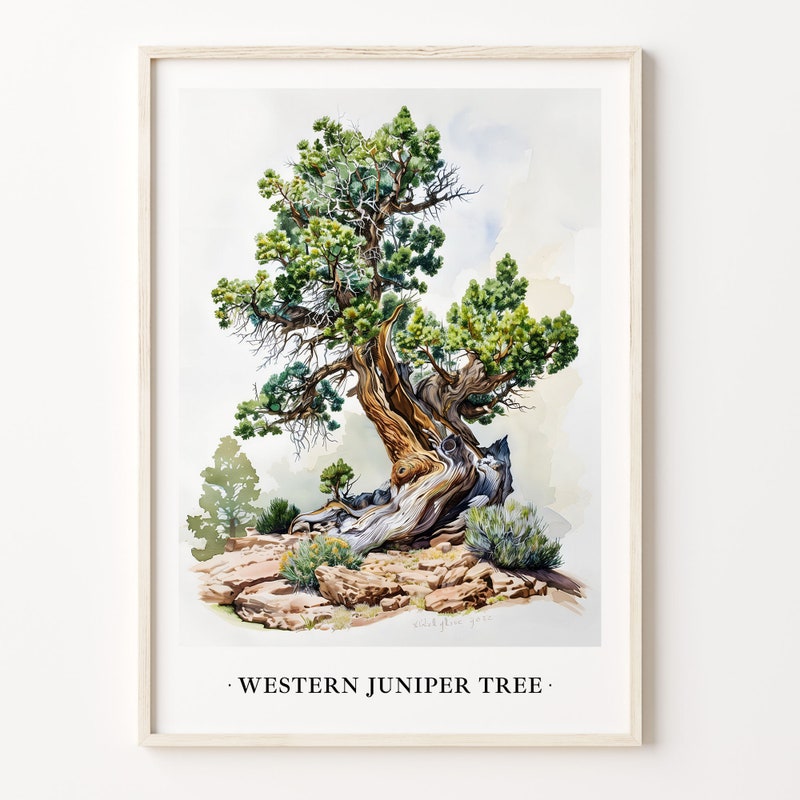 Juniper Home Decor - Etsy