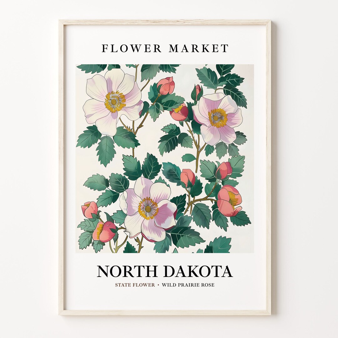 North Dakota State Flower Art Print, Wild Prairie Rose Wall Art, 1960's ...