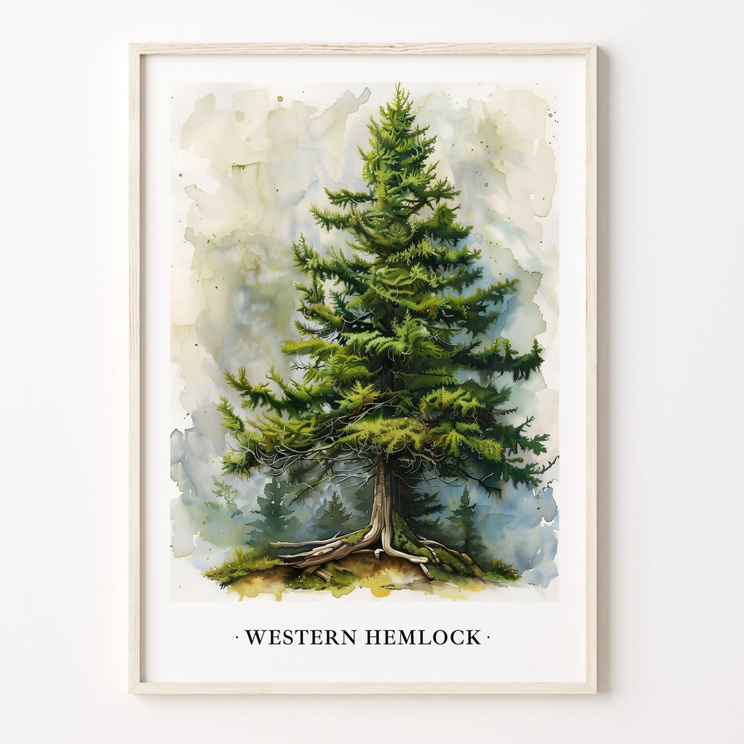 Western Hemlock Tree Art Print, Wall Art Poster, Nature Decor ...