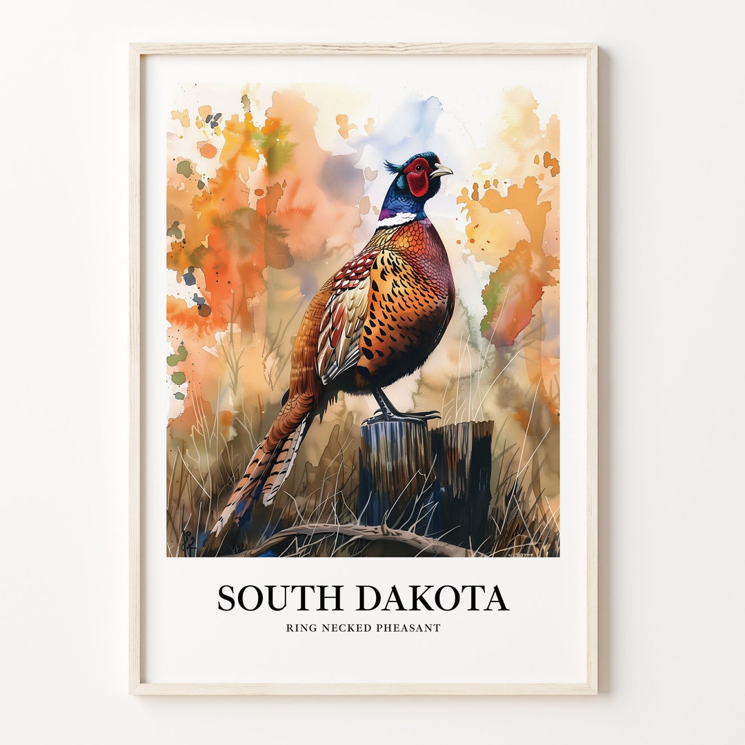South Dakota State Bird & Flower Art Print, South Dakota Wall Art, Home ...