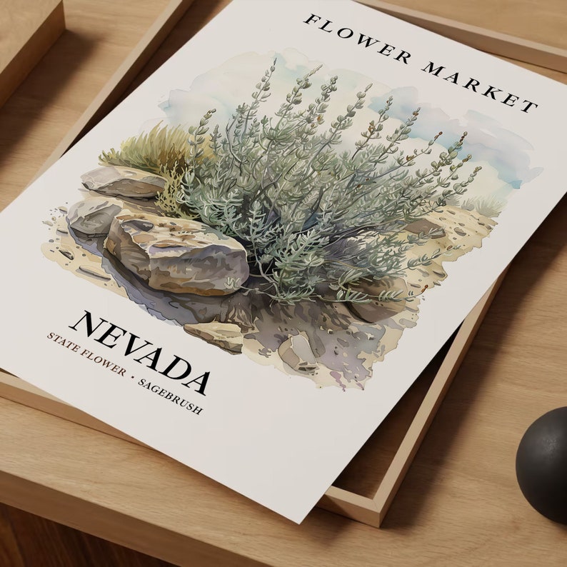 Nevada State Flower Art Print, Sagebrush Botanical Wall Art, 1960's ...