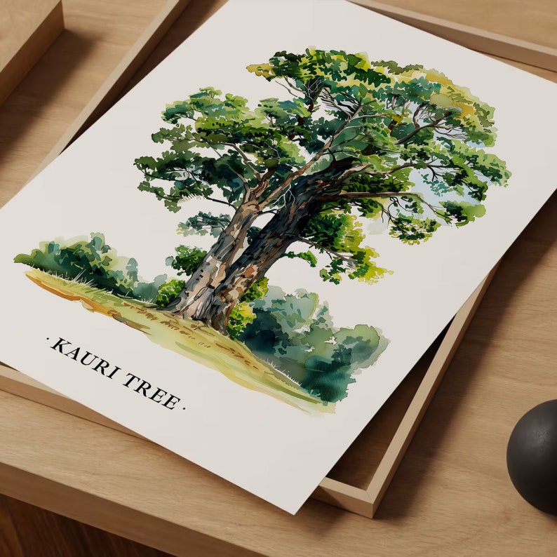 Kauri Tree Art Print, New Zealand Kauri Tree Wall Art, Kauri Tree ...