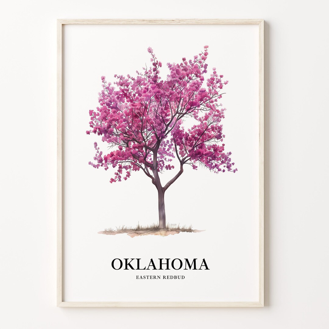 Eastern Redbud Tree Art Print, Oklahoma State Tree Wall Art, Nature ...