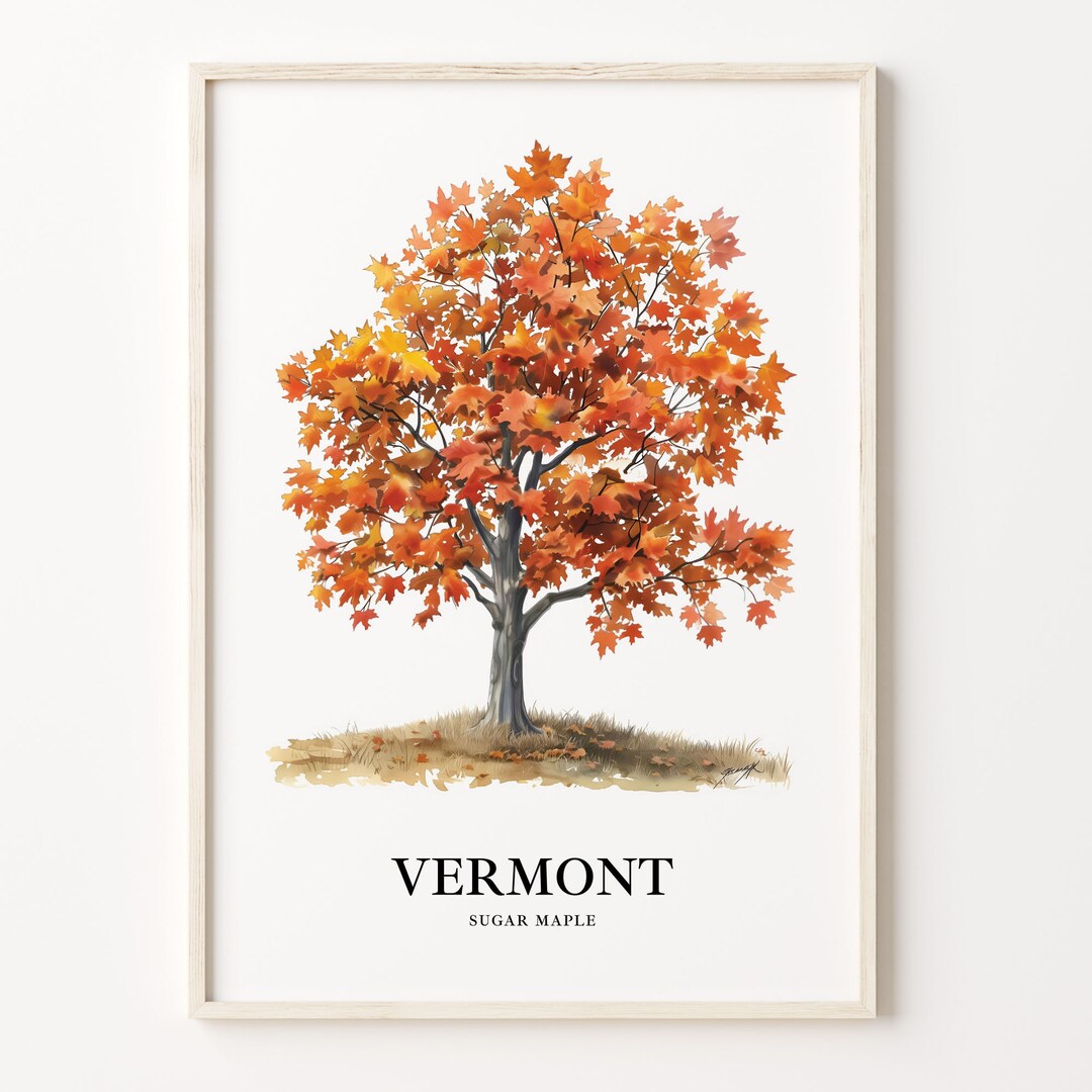 Vermont Sugar Maple Tree Art Print, State Tree Symbol Wall Art, Vermont ...