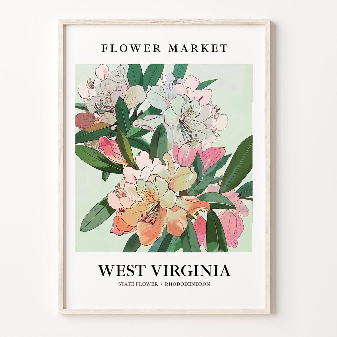 West Virginia State Flower Art Print, Rhododendron 1960's Wall Art ...