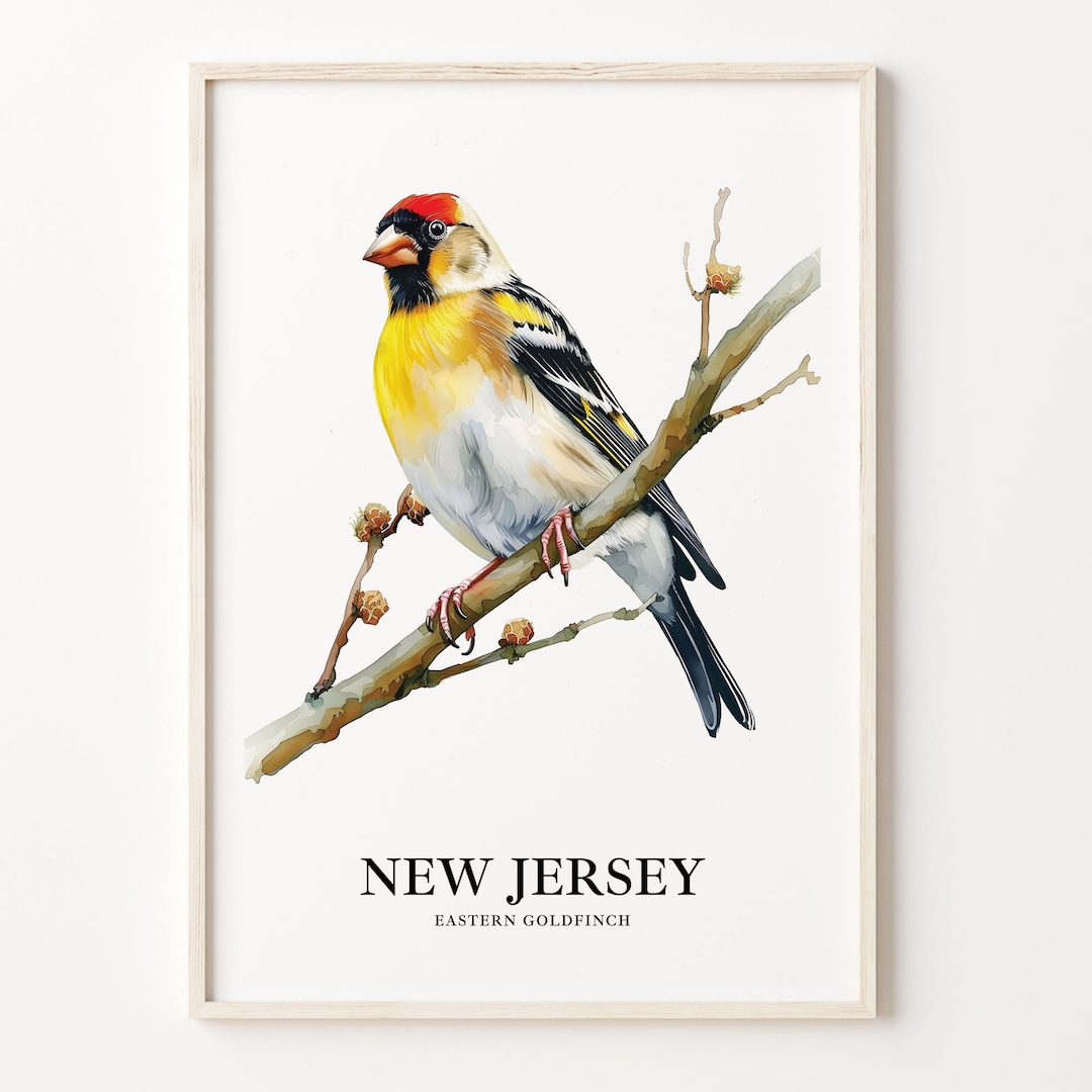 New Jersey State Bird and Flower Art Print, American Goldfinch and ...