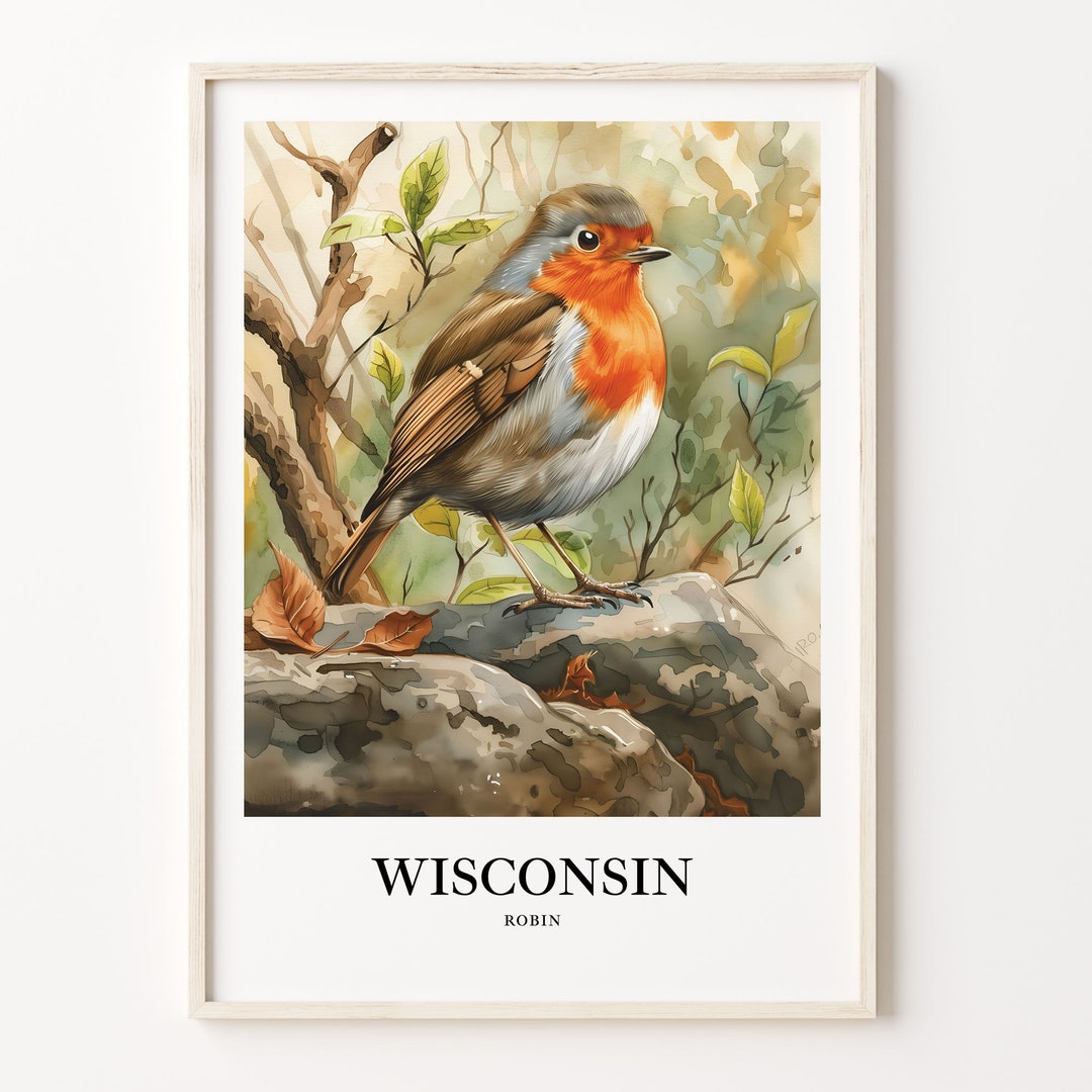 Wisconsin State Bird Art Print: Robin & Wood Violet Wall Decor - Etsy