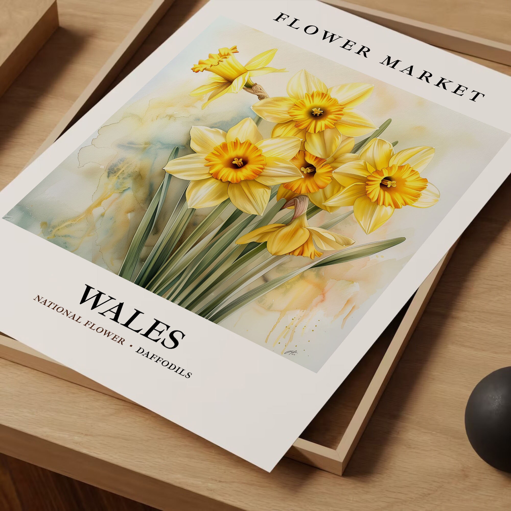 Wales National Flower Art Print, 1960's Daffodils Wall Art, Neutral ...