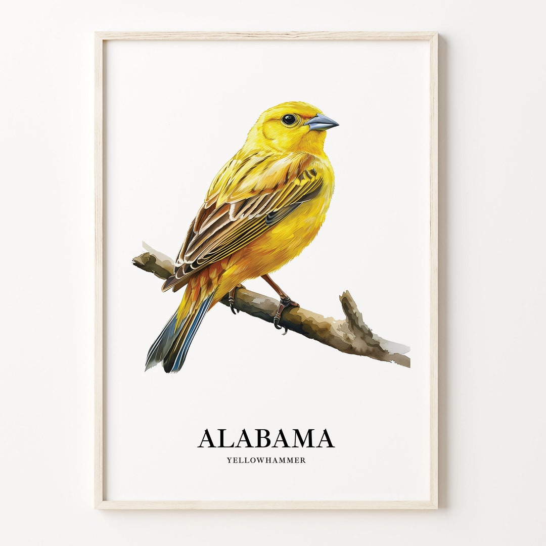Alabama State Bird Art Print, Alabama State Flower Wall Art, Home Decor ...