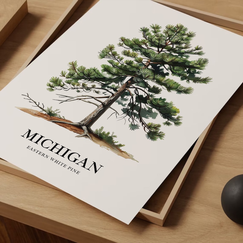 Eastern White Pine Tree Art Print: Michigan State Tree Symbol - Etsy