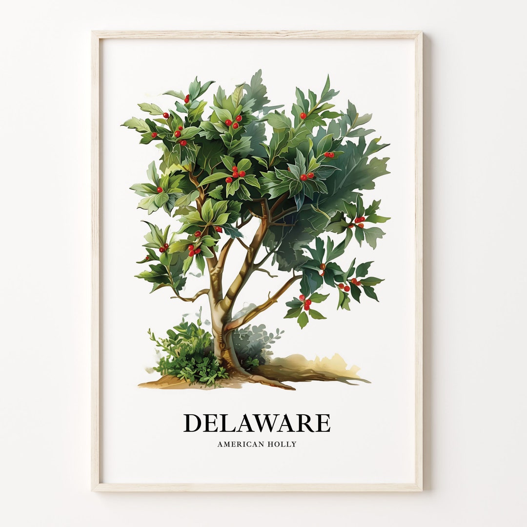 Delaware State Tree Art Print, American Holly Tree Wall Art, State ...