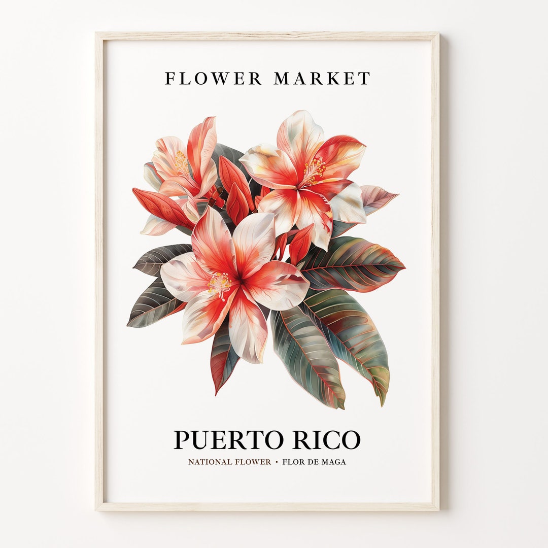 Puerto Rico State Flower Art Print, Flor De Maga 1960's Wall Art ...