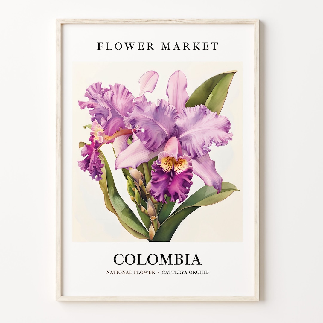 Cattleya Orchid Art Print: Colombia National Flower, Botanical Pastel ...