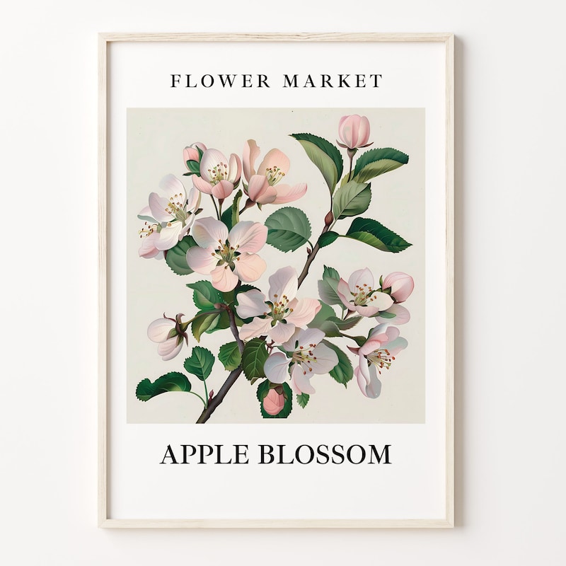 Apple Blossom Print - Etsy