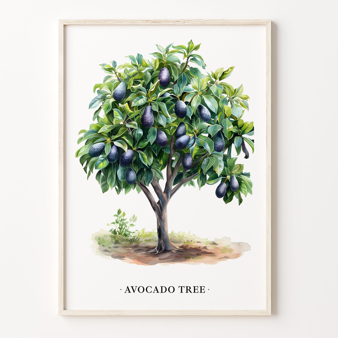 Avocado Tree Art Print, Botanical Wall Art Poster, Kitchen Decor ...