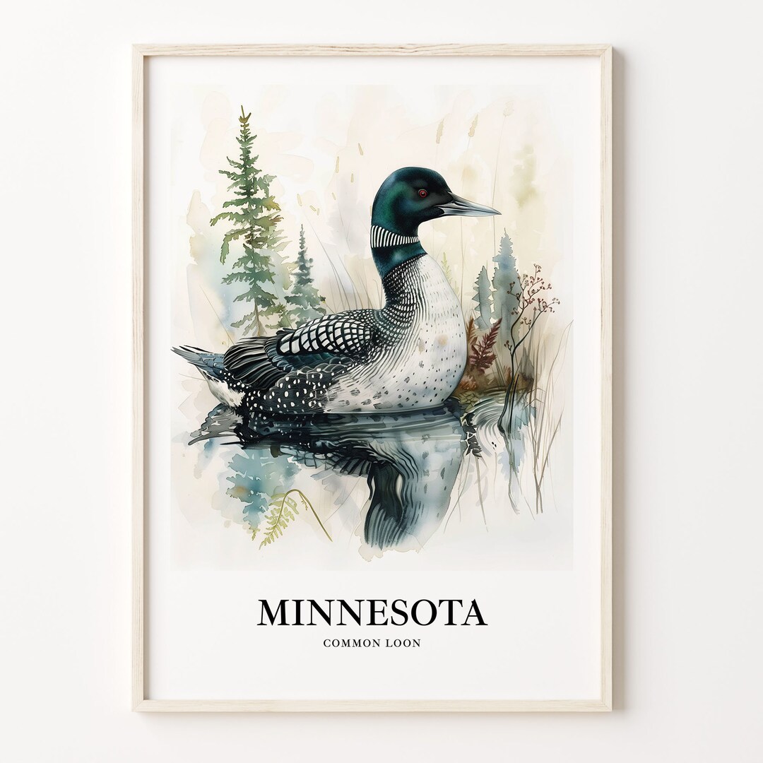 Minnesota State Bird Art Print: Common Loon & Lady Slipper Illustration ...