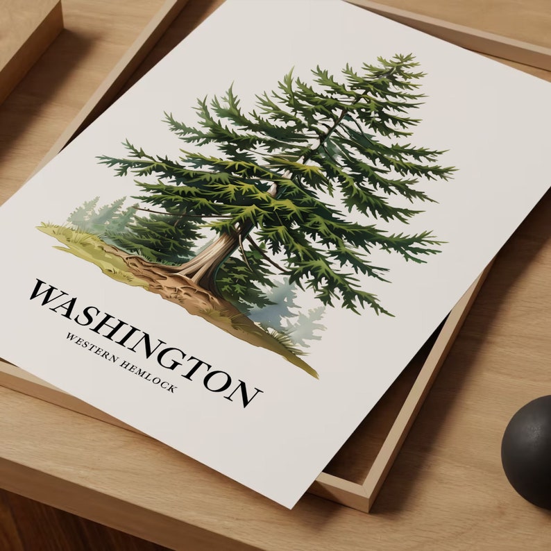 Western Hemlock Tree Wall Art, Washington State Tree Art Print, State ...