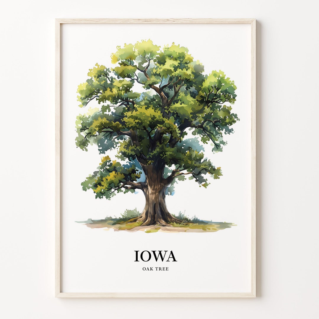 Iowa State Tree Art Print: Oak Tree Nature Artwork - Etsy
