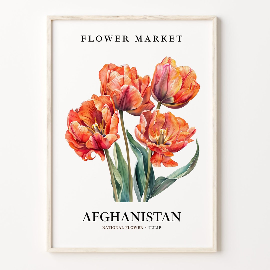 Afghanistan National Flower Wall Art, 1960's Tulip Market Print ...