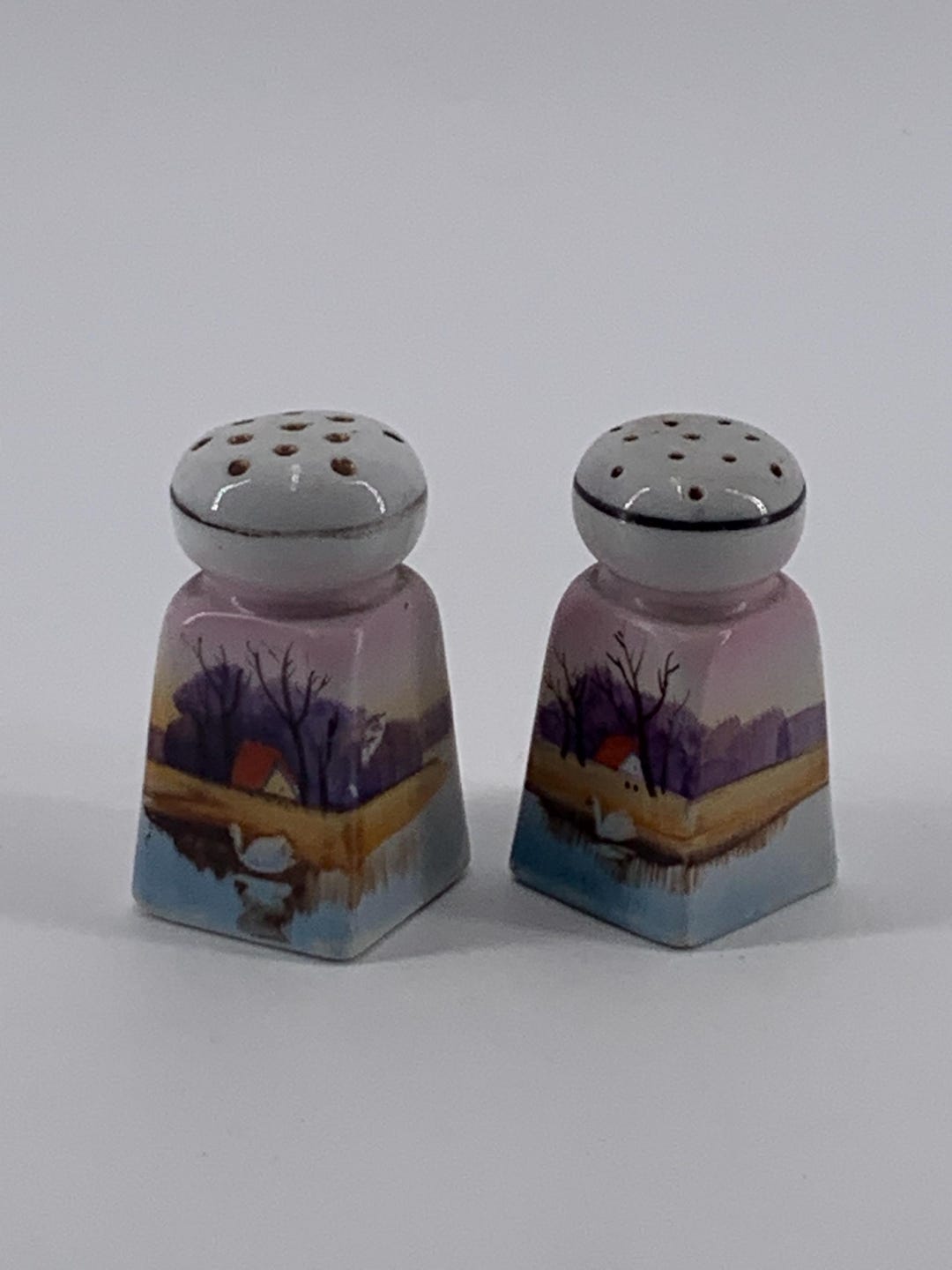 Vintage Japanese Hand Painted Swan in Landscape Salt & Pepper 2.5x1.25 ...