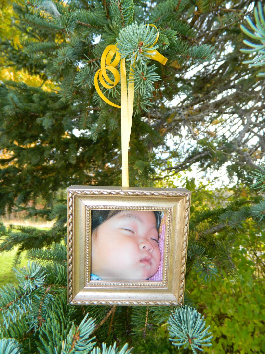 Set of 5 - Picture Frame Christmas Holiday Tree Ornaments - 3 X 3 ...