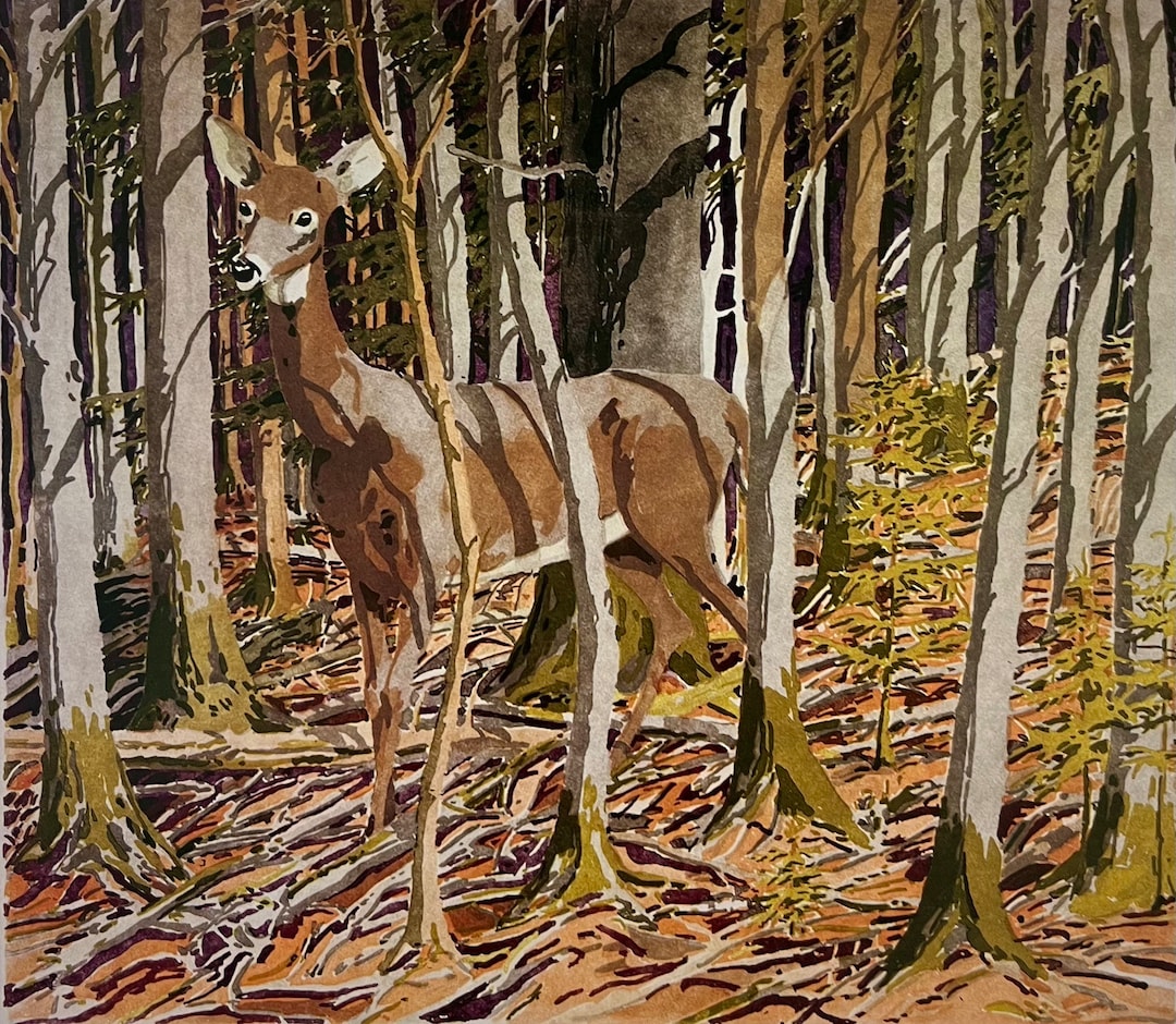 Neil Welliver "deer" Original Book Print 1996 FRAMED - Etsy