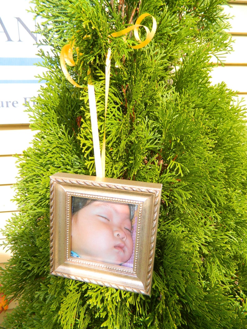 Set of 5 - Picture Frame Christmas Holiday Tree Ornaments - 3 X 3 ...