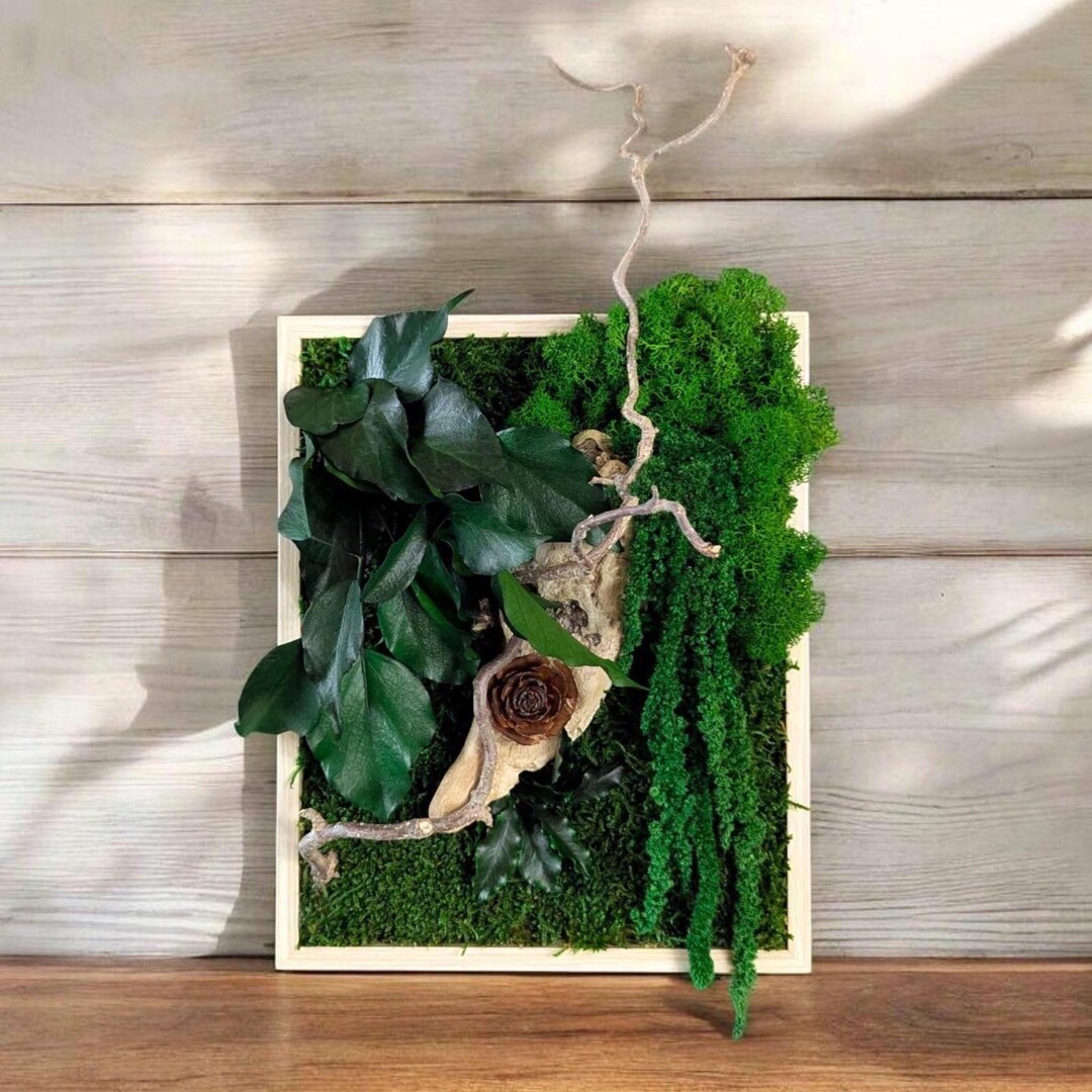 Plant Picture, Preserved Plant Frame, Wall Decoration, Original ...
