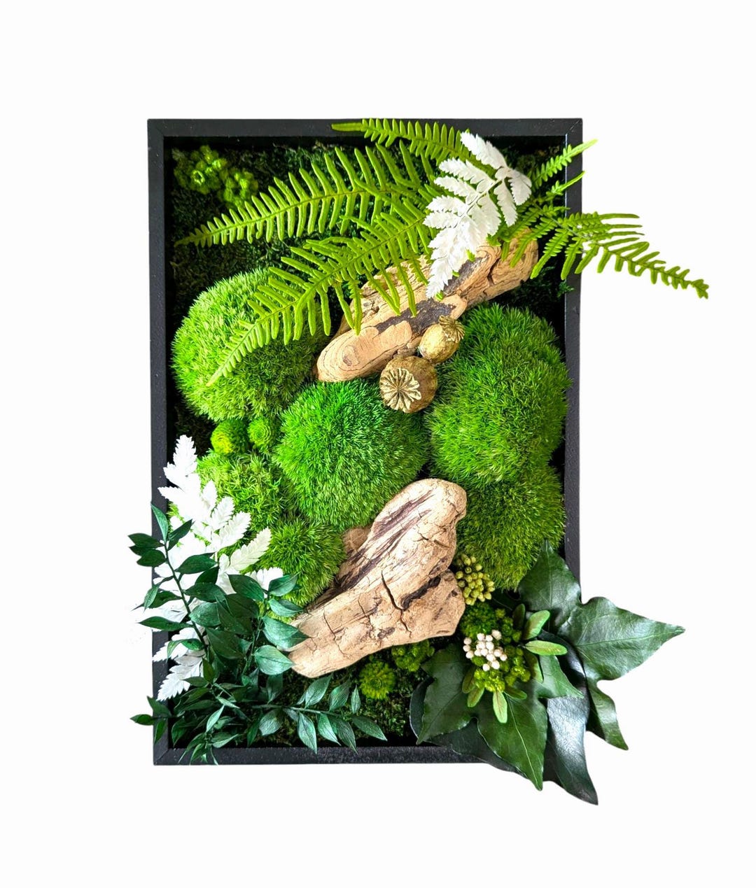 Plant Picture, Preserved Plant Frame, Wall Decoration, Original Gift ...