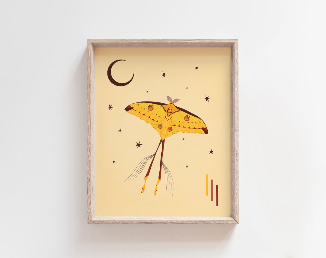 Comet Moth Art Print Male Madagascar Comet Moth Dreamy Nature ...