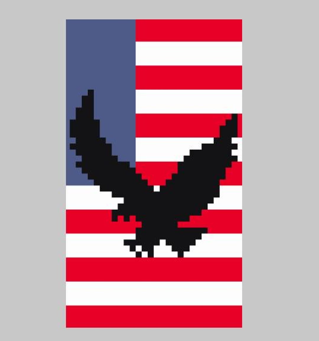 Eagle Silhouette on American Flag - Finger Knitting / Chunky Knit ...