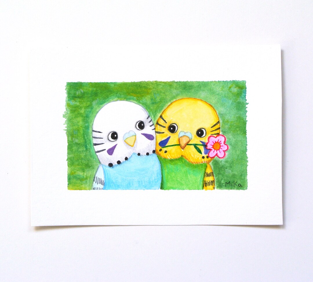 Original Illustration of Parakeet, Unique Mothers Day Gift, Budgierir ...