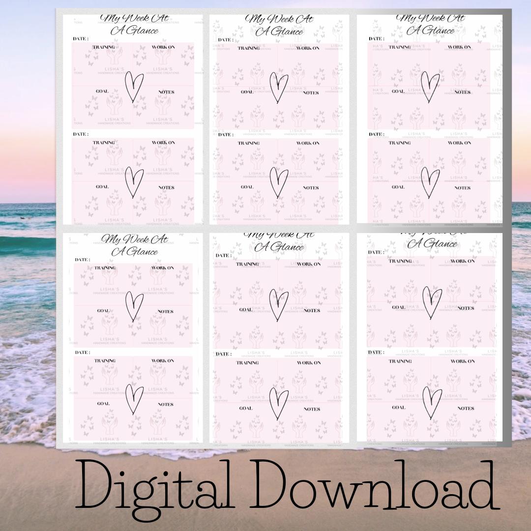 Gymnastics Cheer Pageant Planner, Spiral Bound Notebook, Fitness Agenda ...