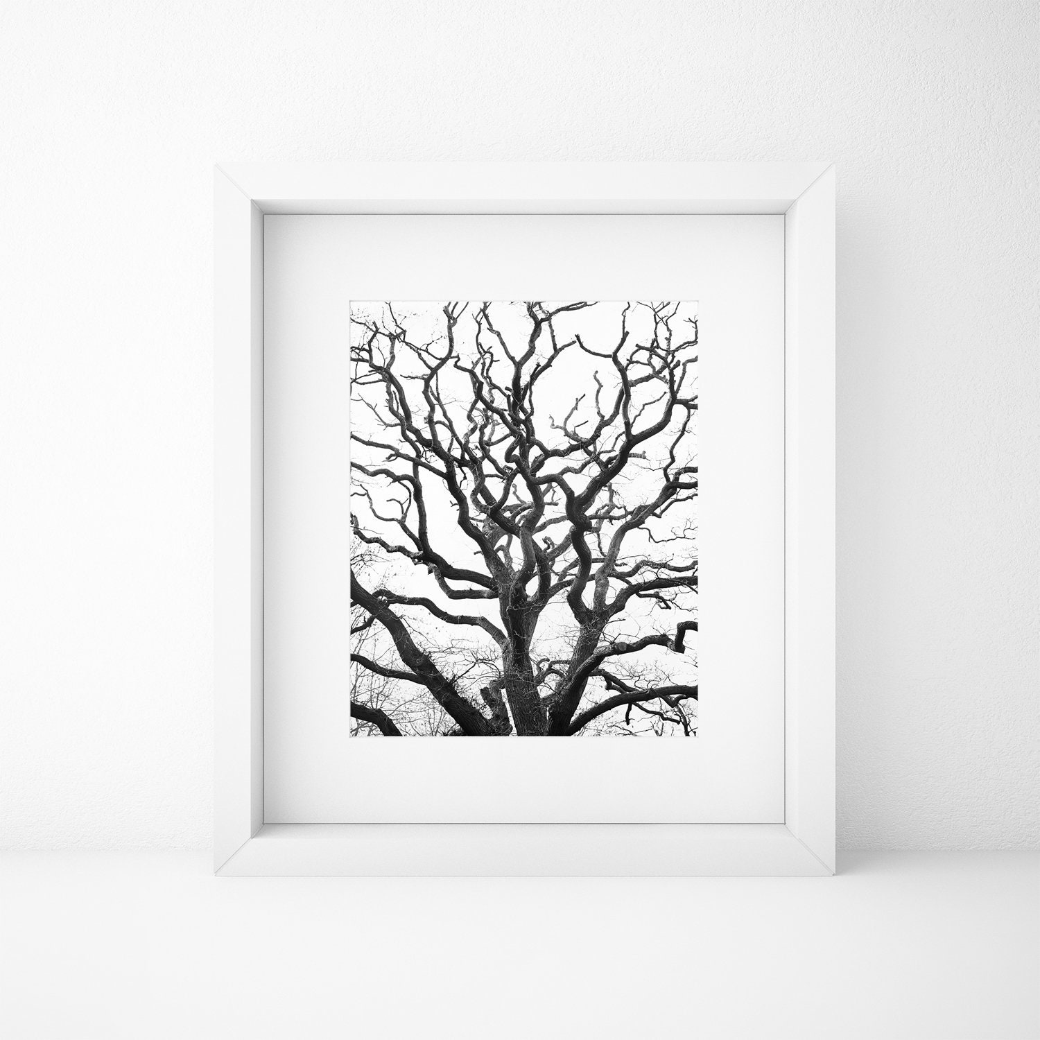 Tree Branches Tree-top Photography Art Print Autumn Large - Etsy