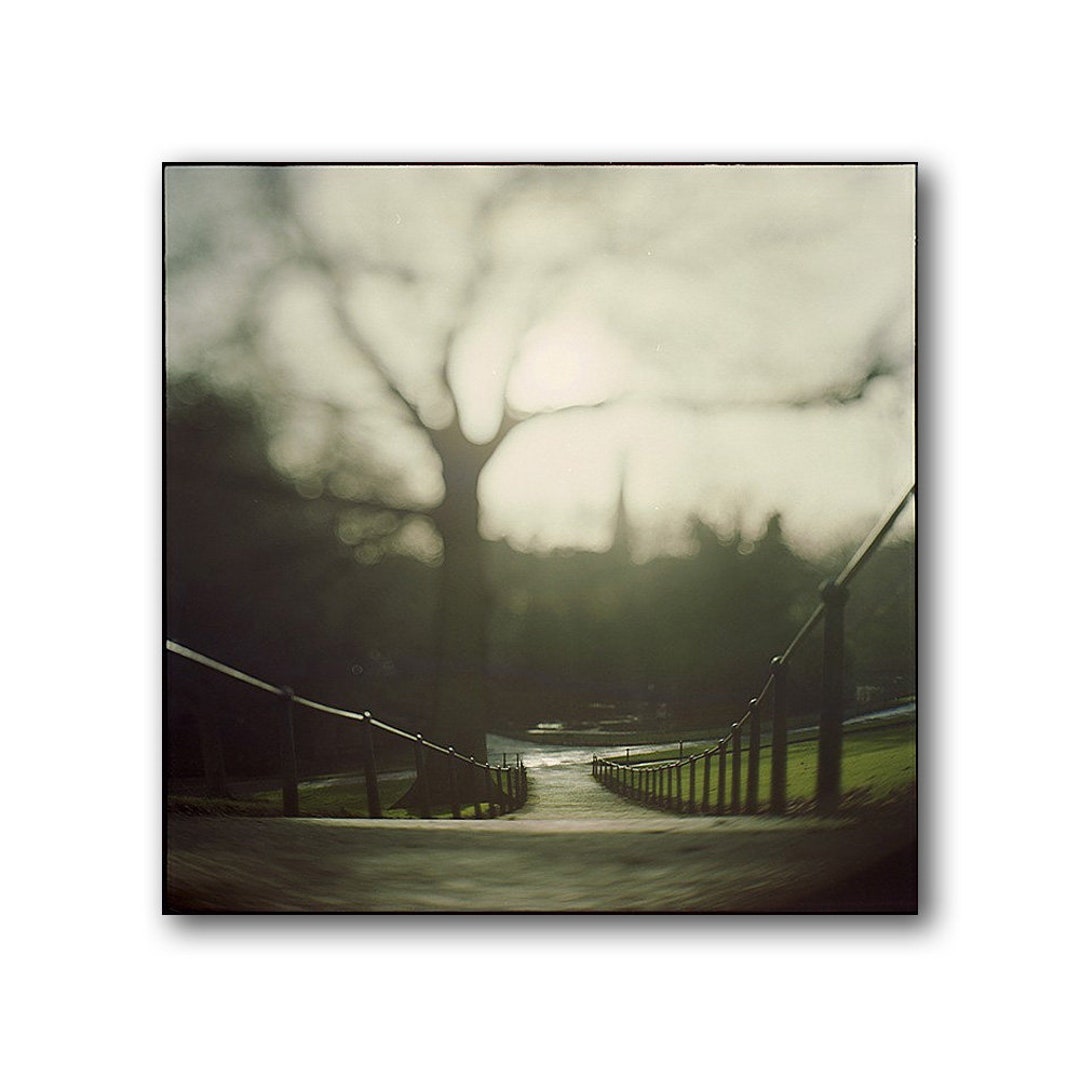 Phoenix Park in Dublin, Ireland Print, Ireland Photography, Middle ...