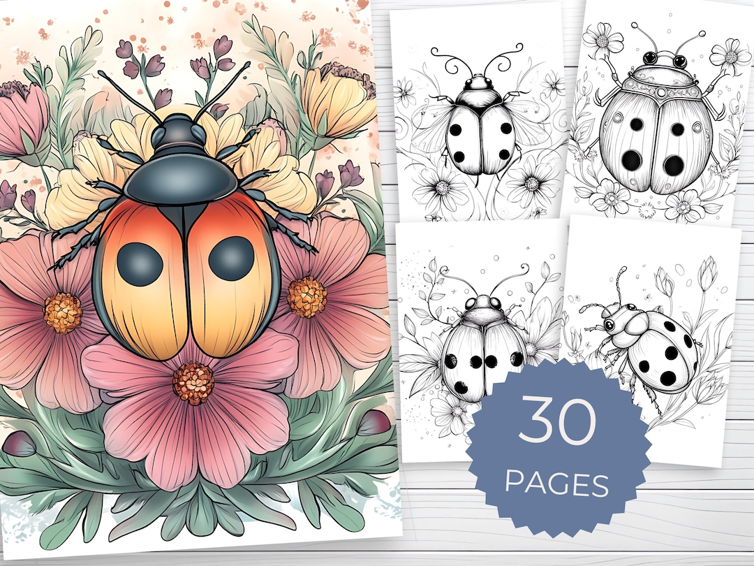 Ladybugs Coloring Pack | Ladybugs With Decorative Flowers Coloring ...