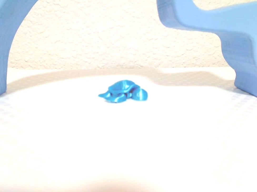 Shell Bert the Turtle - Etsy