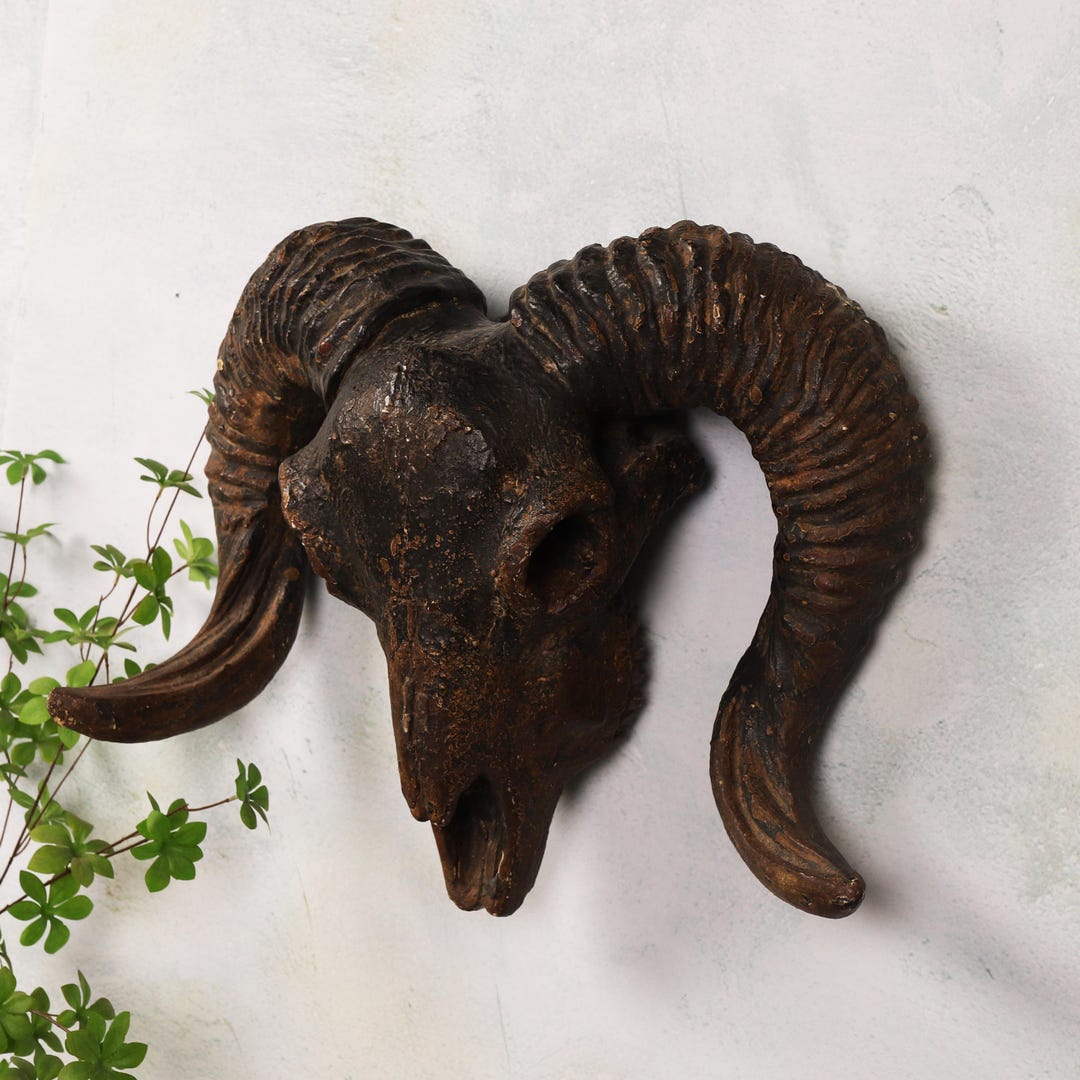 Rustic Ram Skull Wall Decor - Etsy